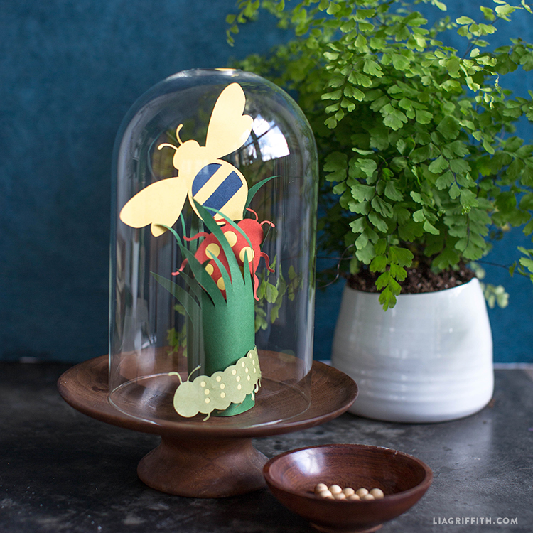 Create your very own paper bug dome with SVG files