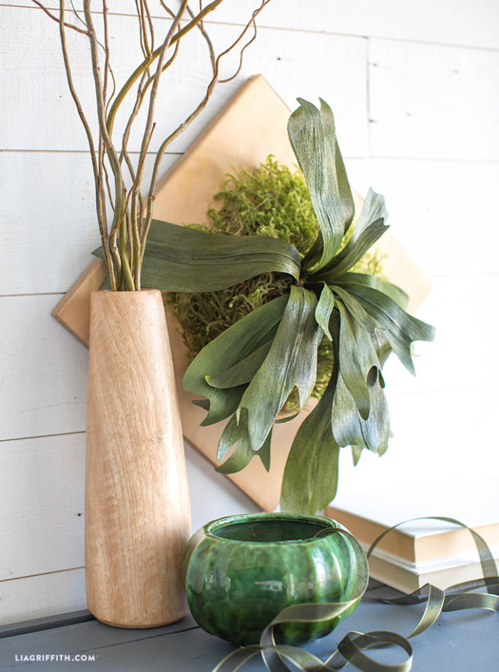 Create Your Own Mounted Crepe Paper Staghorn Fern