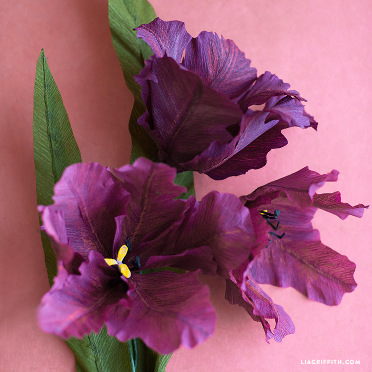 9 Paper Flowers for Beginners - Lia Griffith