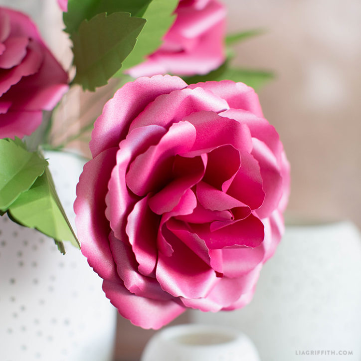 Make a Full Bloom Paper Garden Rose -- FREE Download