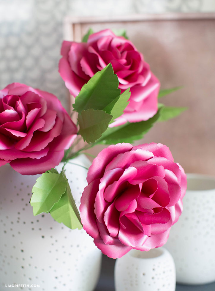 Make a Full Bloom Paper Garden Rose -- FREE Download