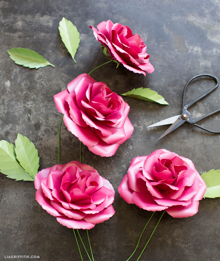 Make a Full Bloom Paper Garden Rose -- FREE Download