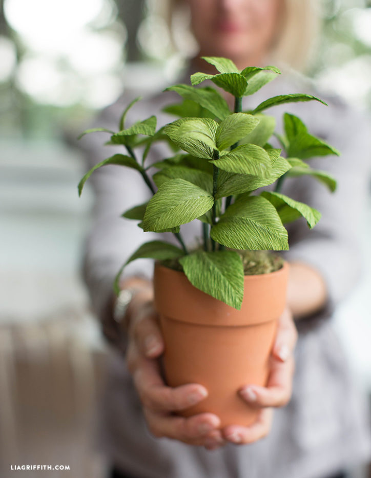 Crepe Paper Basil Herb Plant DIY Template and Tutorial - Lia Griffith