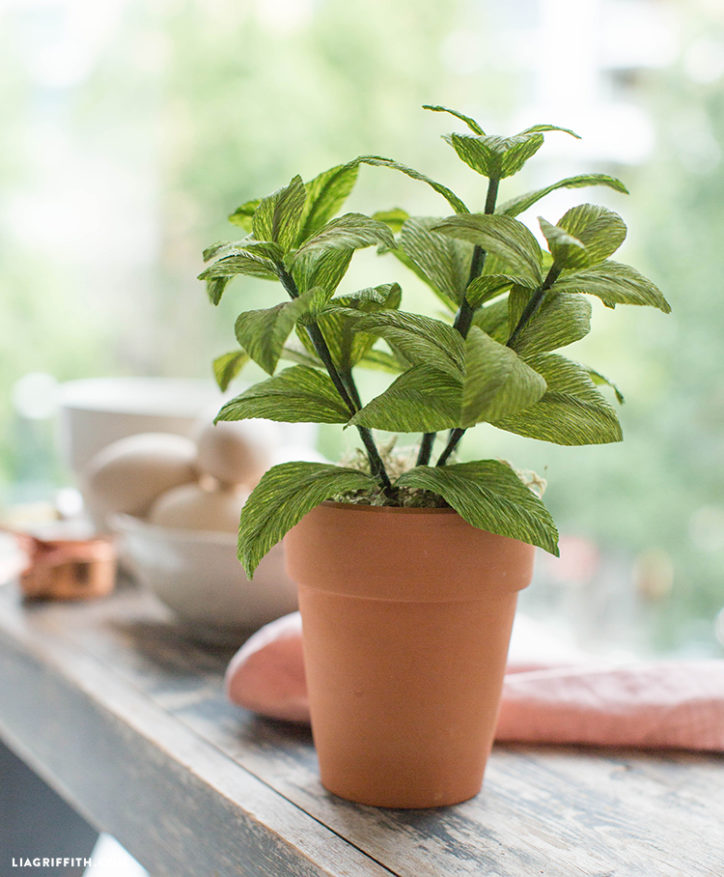 Crepe Paper Basil Herb Plant DIY Template and Tutorial - Lia Griffith