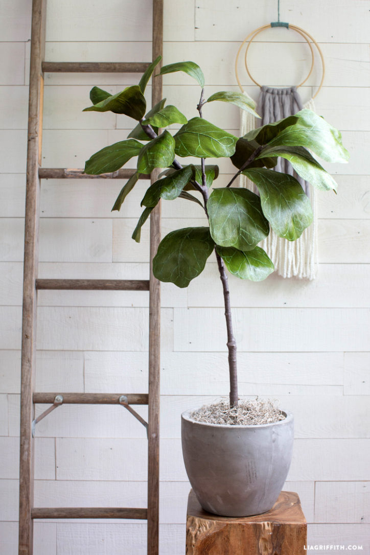 Make Your Own Realistic Crepe Paper Fiddle Leaf Tree