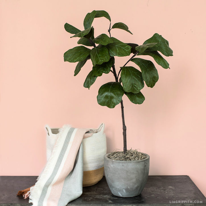 Make Your Own Realistic Crepe Paper Fiddle Leaf Tree
