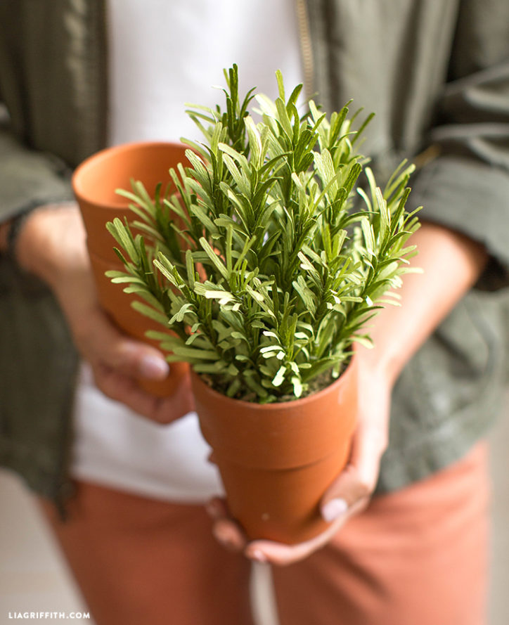 Make an Easy Crepe Paper Rosemary Plant With Just 4 Steps