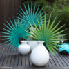 Create Your Own Large Paper Fan Palm for Summer