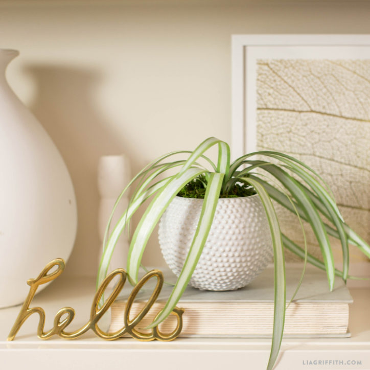 Upgrade Your Flower Power With This Paper Spider Plant!