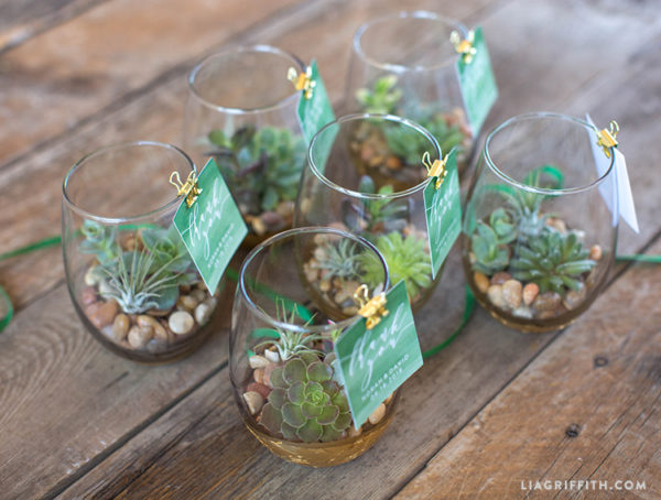 DIY Mini Terrarium Wedding Favors - Lia Griffith