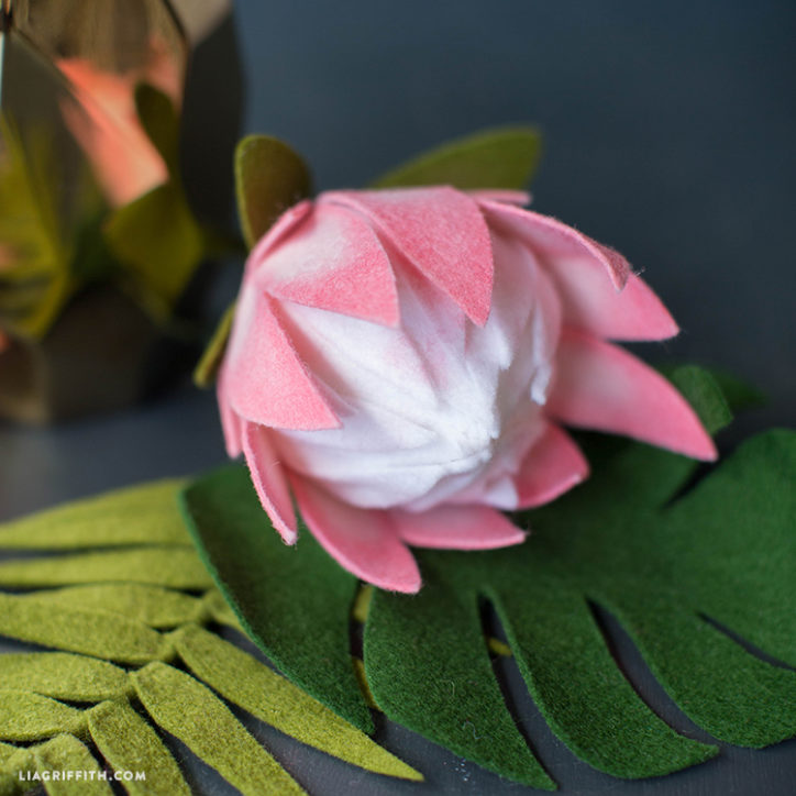 Make These Incredibly Detailed Felt Proteas - Craft with Confidence!