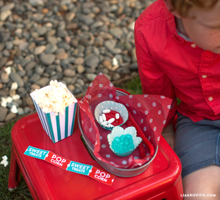 Create Your Own Concession Stand for Movie Night - Lia Griffith