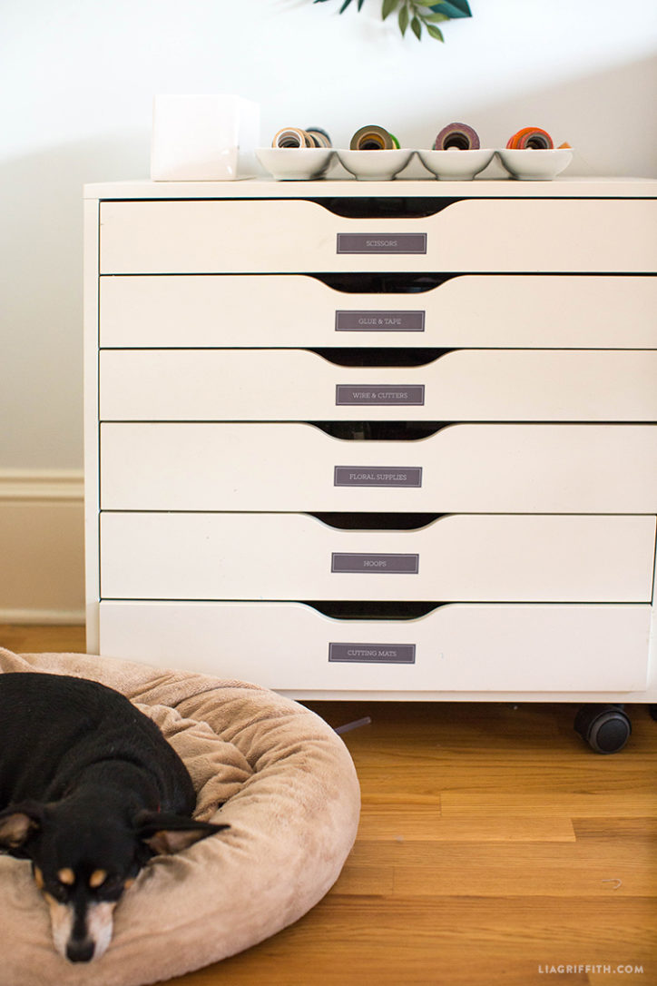 Printable Storage Labels to Help You Get Organized - Lia Griffith