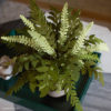 DIY Double-Sided Crepe Paper Fern Plant - Lia Griffith