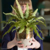 DIY Double-Sided Crepe Paper Fern Plant - Lia Griffith
