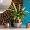 DIY Double-Sided Crepe Paper Fern Plant - Lia Griffith