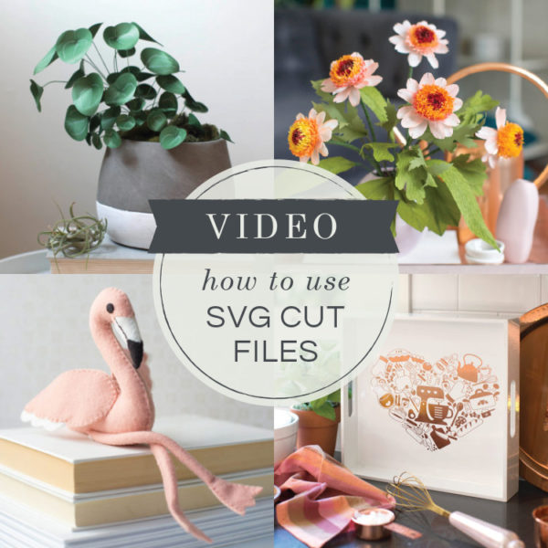 New Video Tutorial: How to Use SVG Files - Lia Griffith