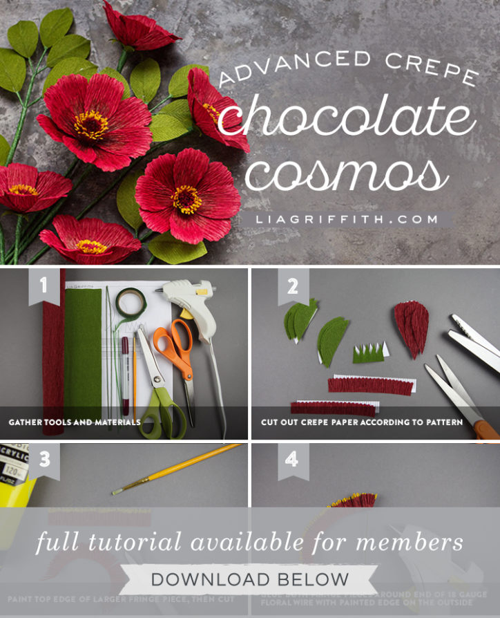 Learn how to make advanced crepe paper chocolate cosmos