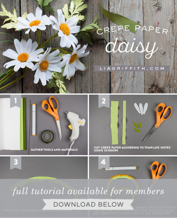 DIY Easy Crepe Paper Daisy Flower Video Tutorial