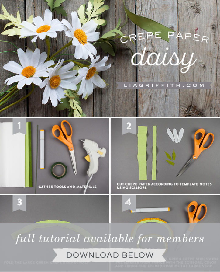 DIY Easy Crepe Paper Daisy Flower Video Tutorial