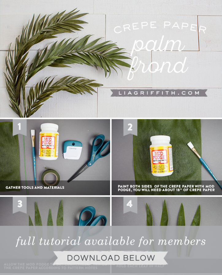 Create Your Own Crazy Real Crepe Paper Palm Fronds