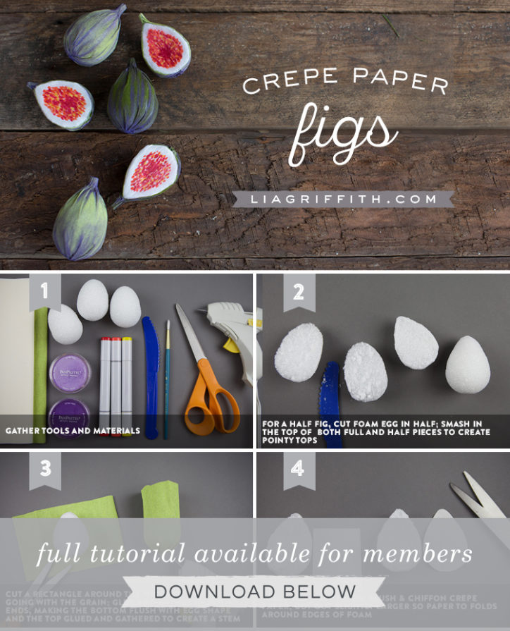 Crepe Paper Figs - Lia Griffith