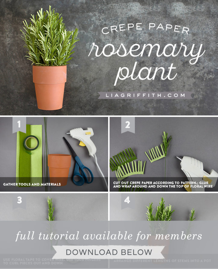 Make an Easy Crepe Paper Rosemary Plant With Just 4 Steps
