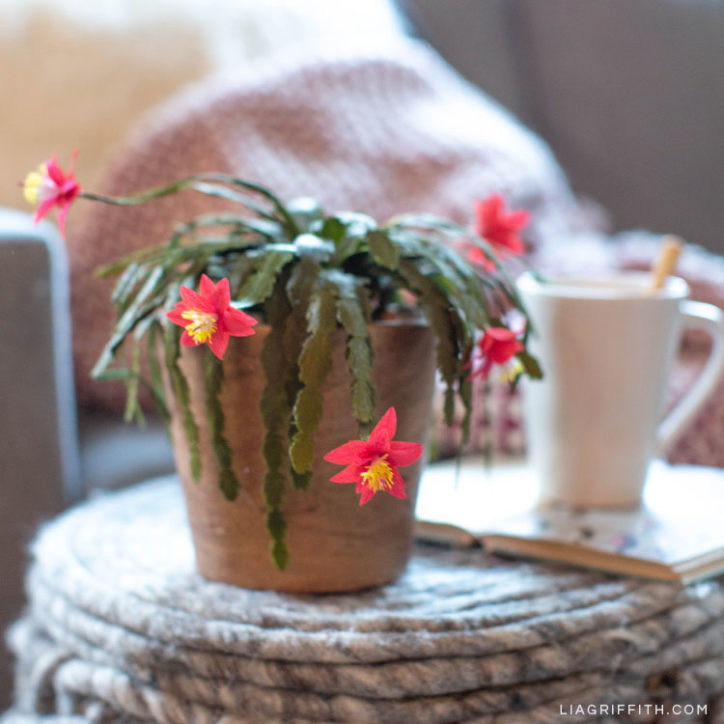 How to Make a Crepe Paper Christmas Cactus - Lia Griffith