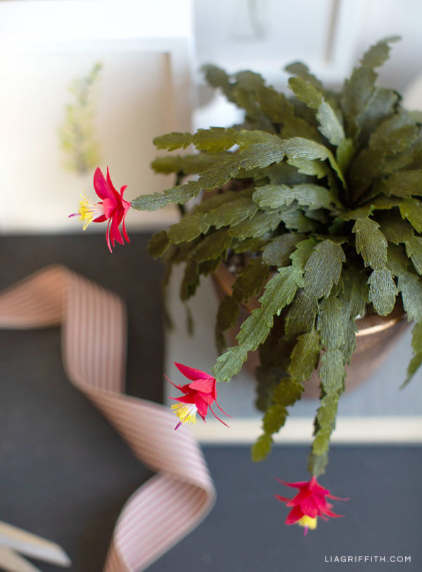 How to Make a Crepe Paper Christmas Cactus - Lia Griffith