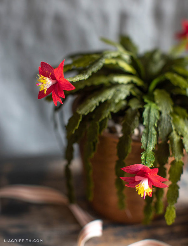 How to Make a Crepe Paper Christmas Cactus - Lia Griffith