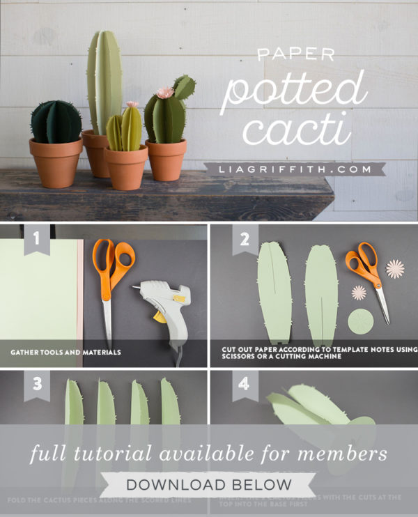 DIY Paper Cacti Plants in Terracotta Pots - Lia Griffith