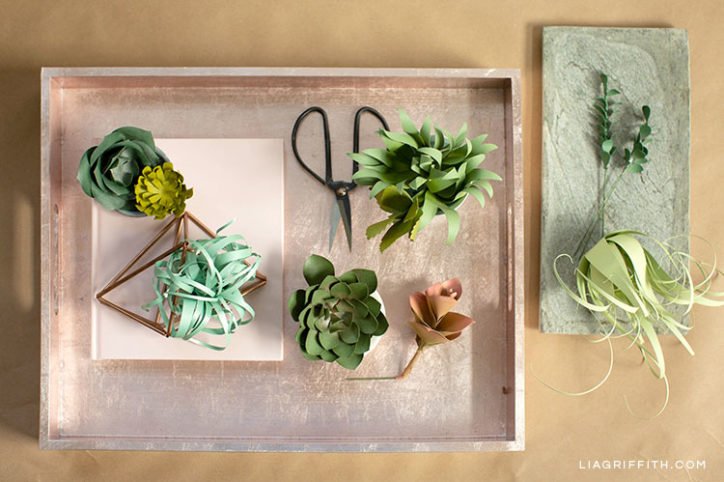 Video Tutorial: How to Make Paper Succulents and Air Plants