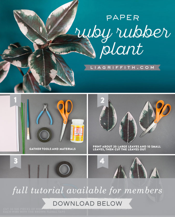Create a printable Ruby Rubber Plant for your home