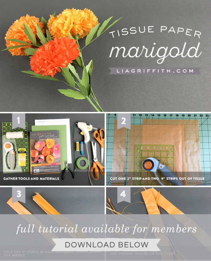 Tissue Paper Marigolds - Lia Griffith