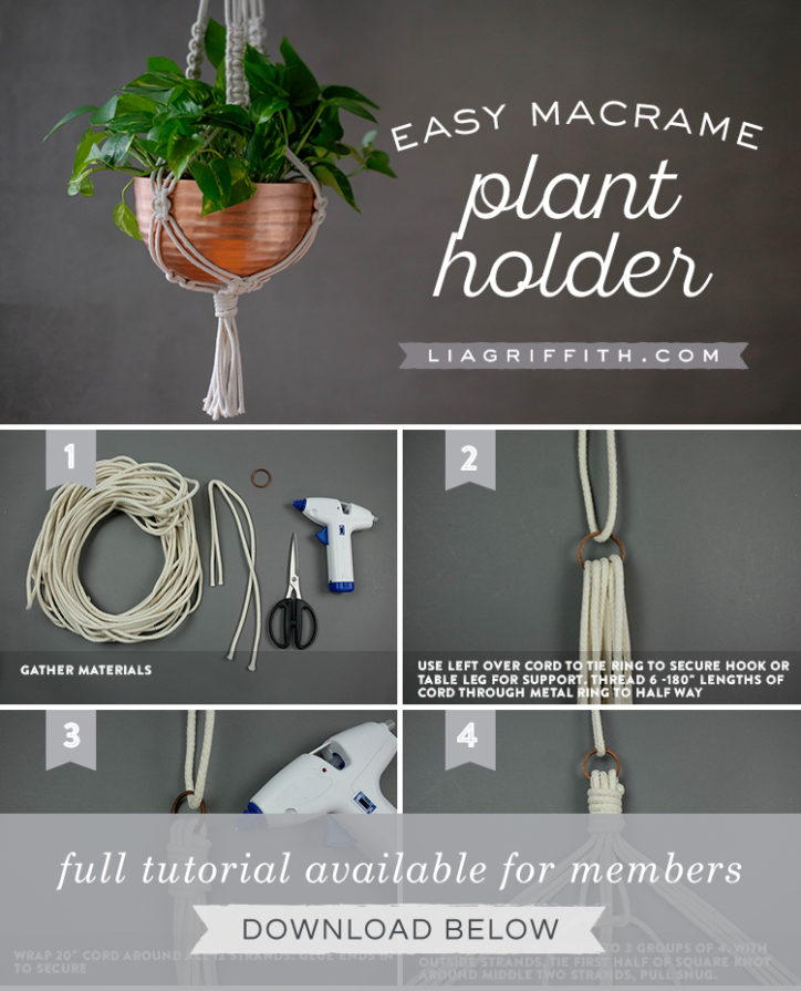 Braided Macrame Plant Holder - Lia Griffith