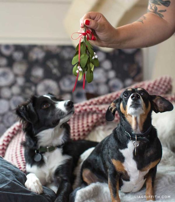DIY Crepe Paper Mistletoe to Hang in Your Home - Lia Griffith