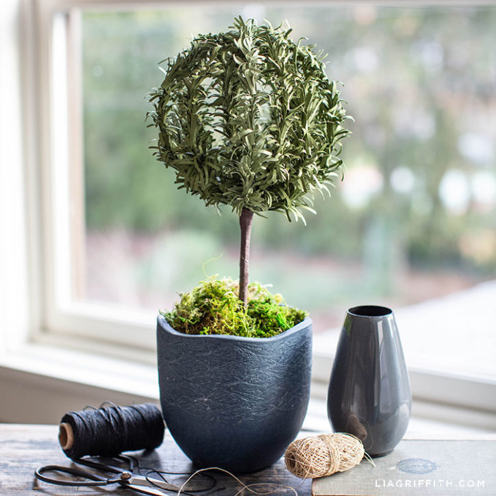 VIDEO: Paper Rosemary Topiary - Lia Griffith