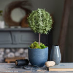 VIDEO: Paper Rosemary Topiary - Lia Griffith