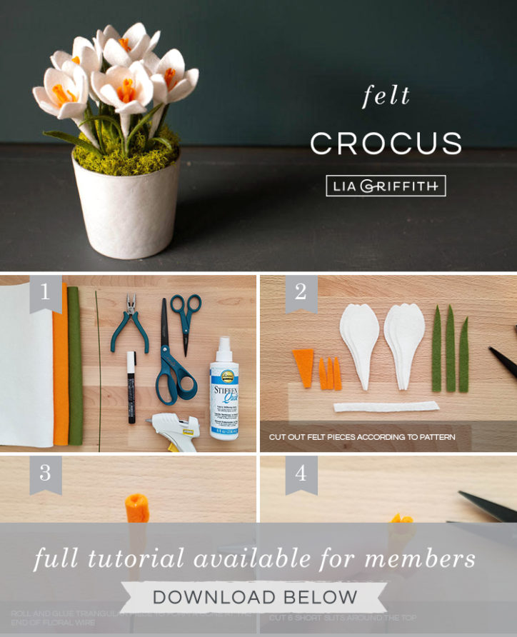 Felt Crocus Flowers - Lia Griffith
