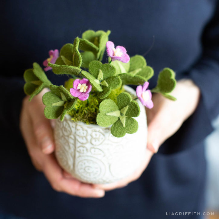 How to Make a Felt Clover Plant for St. Patrick's Day - Lia Griffith