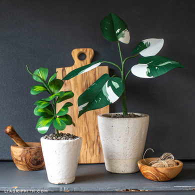 How to Make a Paper Hoya Kerrii Plant - Lia Griffith