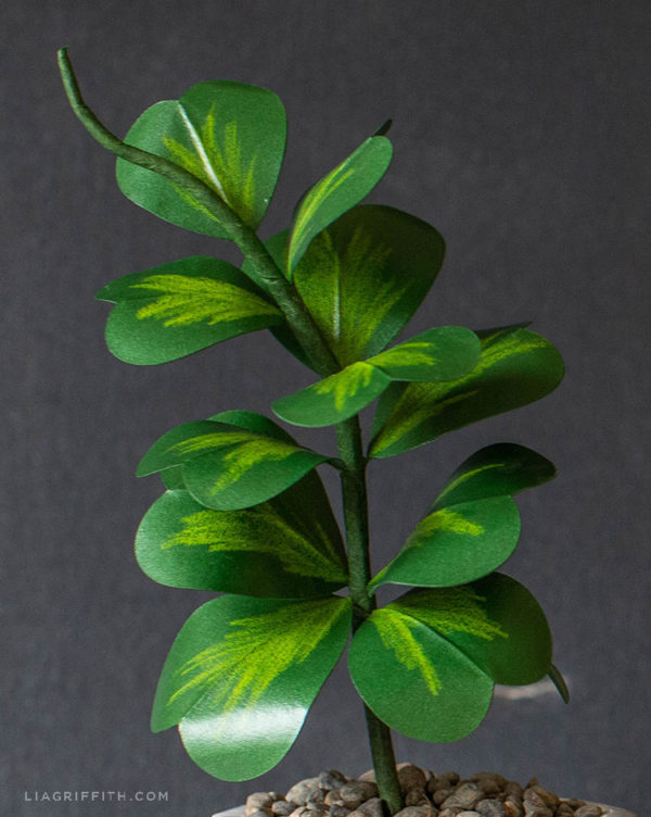 How to Make a Paper Hoya Kerrii Plant - Lia Griffith