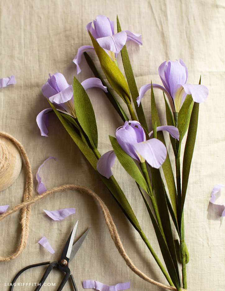 Live Video: How to Make a Crepe Paper Dutch Iris - Lia Griffith