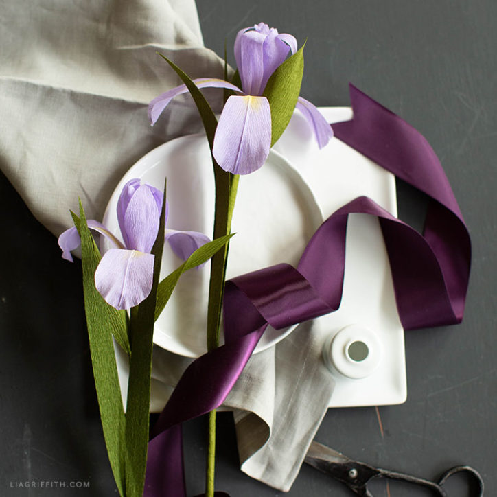 Live Video: How to Make a Crepe Paper Dutch Iris - Lia Griffith