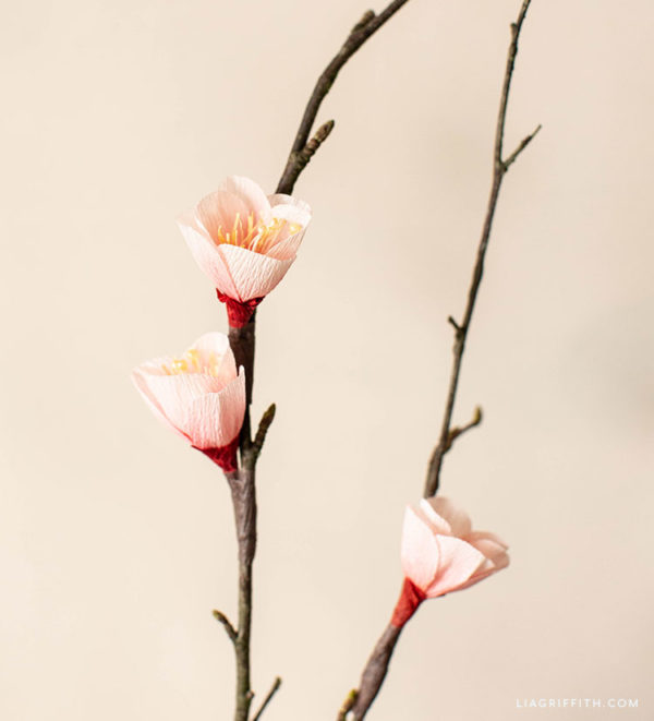 Crepe Paper Flowering Quince Branches - Lia Griffith