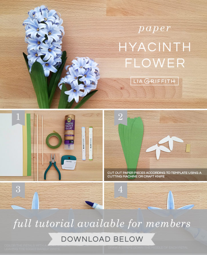 Frosted Paper Hyacinth Flowers for Spring - Lia Griffith