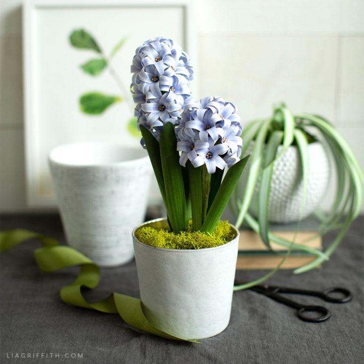 Frosted Paper Hyacinth Flowers for Spring - Lia Griffith