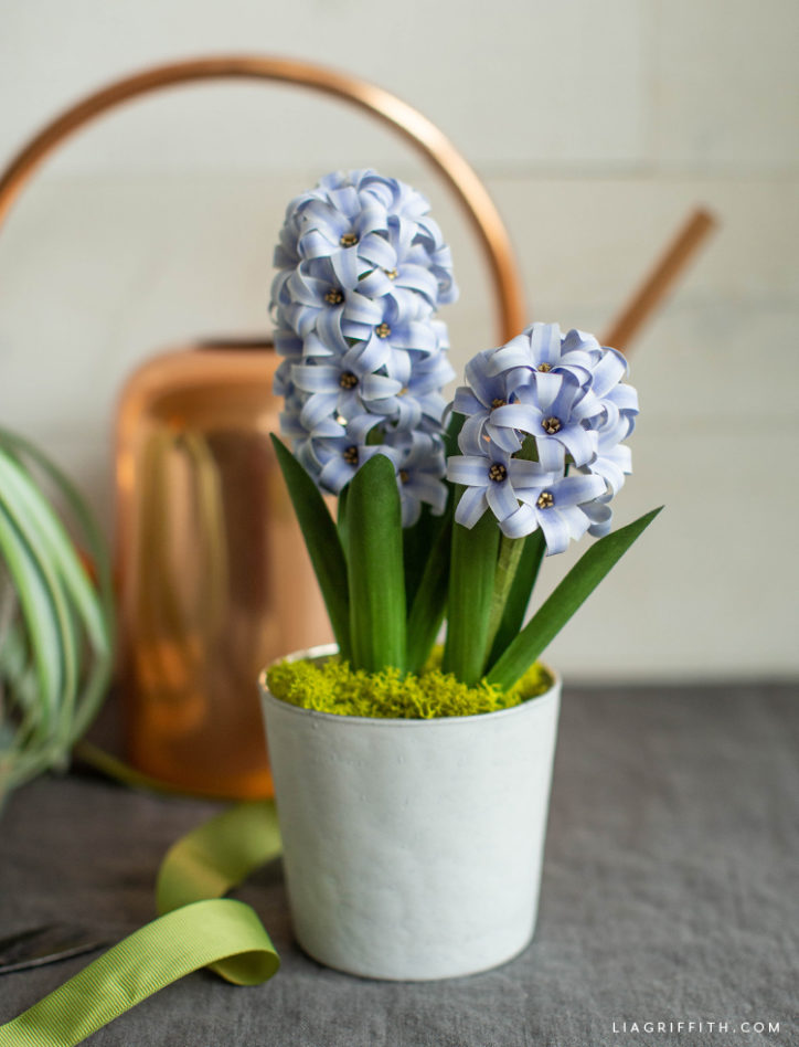 Frosted Paper Hyacinth Flowers for Spring - Lia Griffith