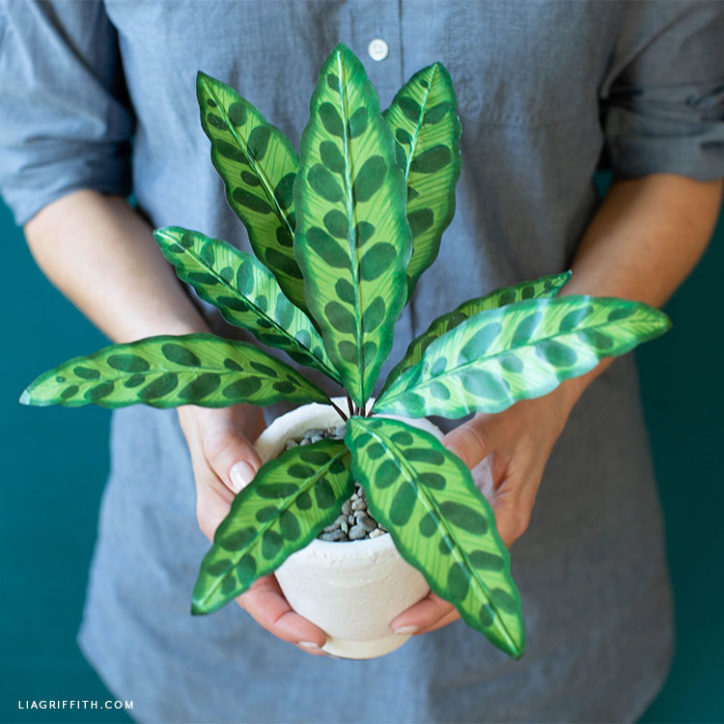 4 Easy DIY Paper Plants for Your Home or Office - Lia Griffith