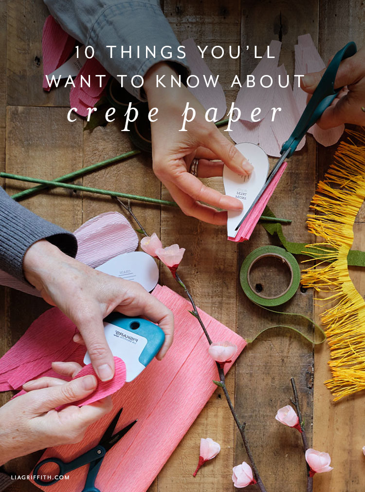 Video: 10 Things to Know About Crepe Paper - Lia Griffith